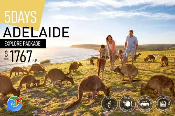 Delightful Travel – Delightful Travel